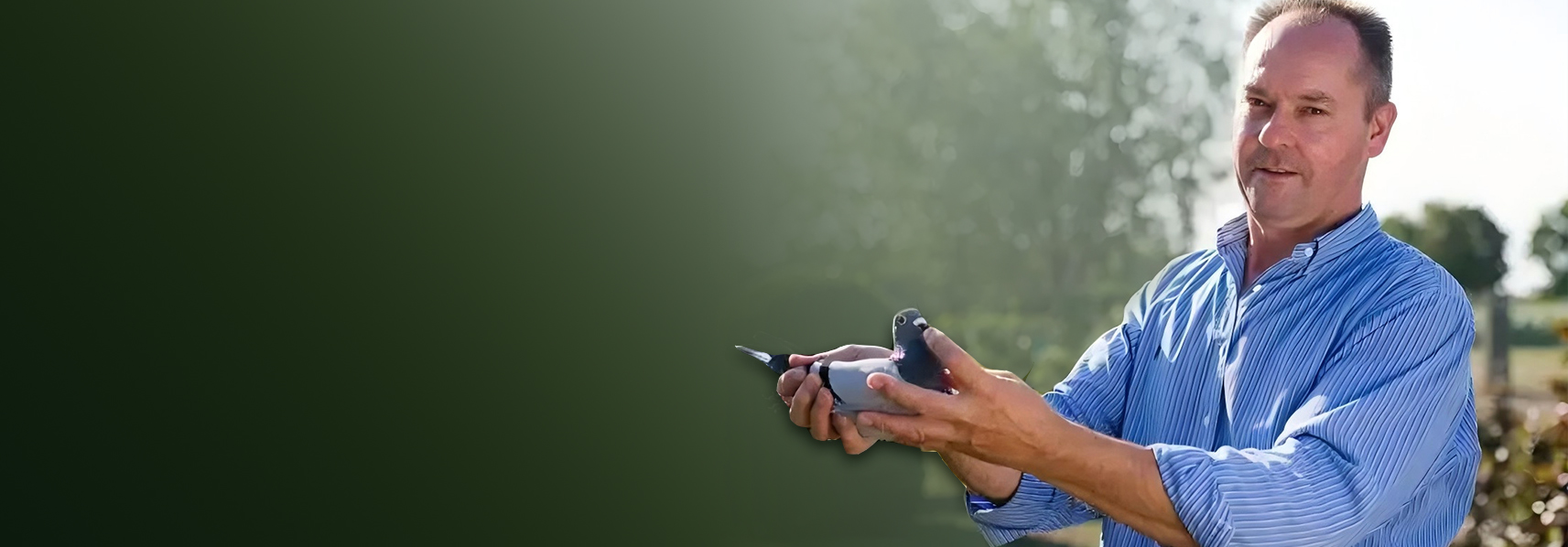 European Pigeon Website